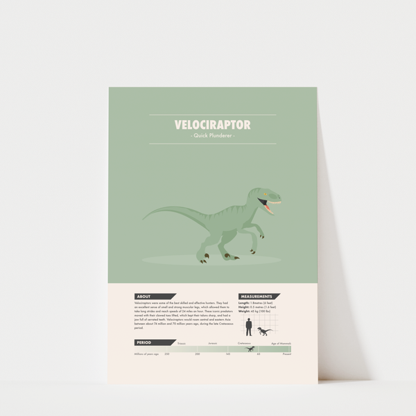 Velociraptor Dinosaur Print – Print52